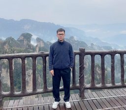 Designing vanadium-based nanoflower precursor towards improved Na3V2 ...