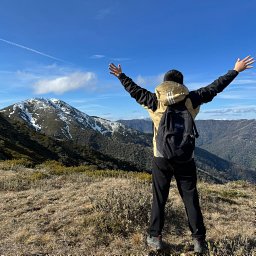 Development of a dynamic cumulative damage model and its application to ...