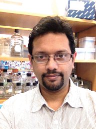 Lower respiratory tract microbiome composition and community ...