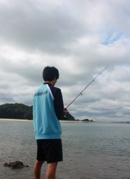 Enhanced response characteristics of NO2 gas sensor based on ultrathin ...