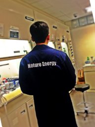 Visualization of Bubble Nucleation and Growth Confined in 2D Flakes ...