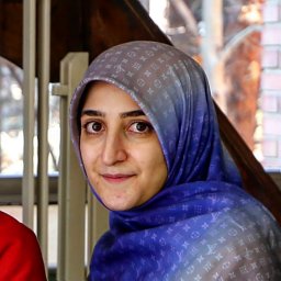 The prevalence of current water pipe use among Iranian male population ...