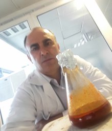 Catalytic imaging-guided cancer therapy using non-coordinated and ...