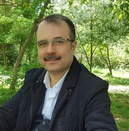 Three-dimensional finite element analysis of shaping curved root canals ...