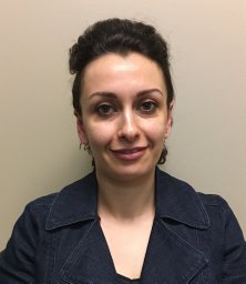 Formation energies, electronic properties and elemental diffusion of Cu ...