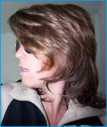 Synergic use of in-situ and remote sensing techniques for comprehensive ...