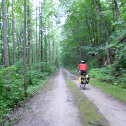 Machine Learning for Neural Decoding: Open Access, Read PDF & Key ...