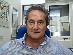 Antioxidant Effect of a Plant-Derived Extracellular Vesicles' Mix on ...