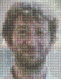 Dual Plug-and-Display Synthetic Assembly Using Orthogonal Reactive ...