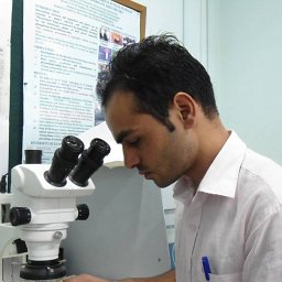 Role of Mushrooms in the Bioremediation of Soil: Abstract, Citation ...