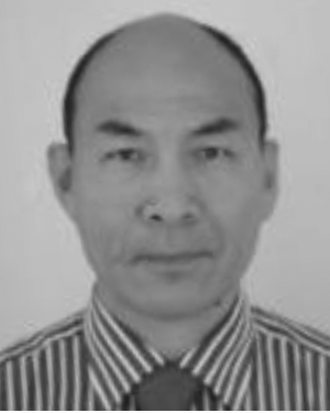 Ge-rich homogenous GeSi alloying induced by Si–Ge interdiffusion under ...