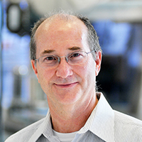 The interdependencies of viral load, the innate immune response, and ...