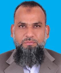 Plant-mediated synthesis, characterization, and evaluation of a copper ...