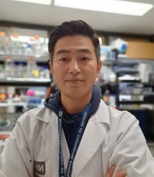 Schlafen 11 (SLFN11) kills cancer cells undergoing unscheduled re ...