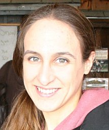 Synoptic Analysis and WRF‐Chem Model Simulation of Dust Events in the ...