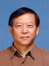 Fast differential interference contrast imaging combined with ...