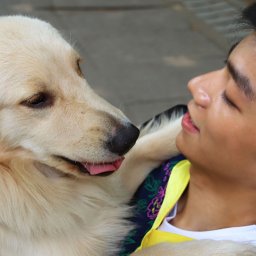 CoPESD: A Multi-Level Surgical Motion Dataset for Training Large Vision ...