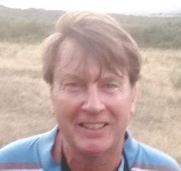 The fingerprint of tropospheric ozone on broadleaved forest vegetation ...