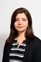 A machine vision tool for facilitating the optimization of large-area ...