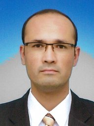 Thermosonication process of sour cherries: Microbial inactivation ...