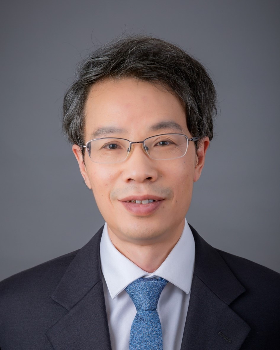 Anti-pulverization intermetallic Fe–Sn anchored on N-doped carbon anode ...