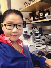 Novel compound heterozygous pathogenic variants in the SLC3A1 gene in a ...