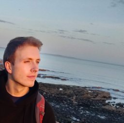 Transcriptome-wide analysis of cell cycle-dependent bursty gene ...