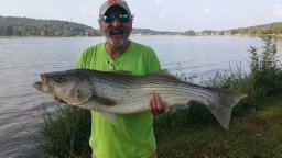 A simplified system to quantify storage of carbon dioxide, water vapor ...