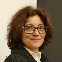 The fingerprint of tropospheric ozone on broadleaved forest vegetation ...