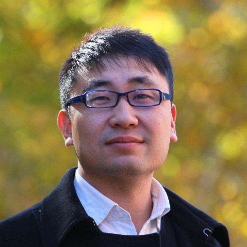 How frequent the Landsat 8/9-Sentinel 2A/B virtual constellation ...