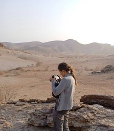 Stillbirth of a mandrill (Mandrillus sphinx) in the wild: perinatal ...