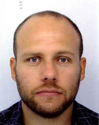 Two-Dimensional Mapping of Arsenic Concentration and Speciation with ...