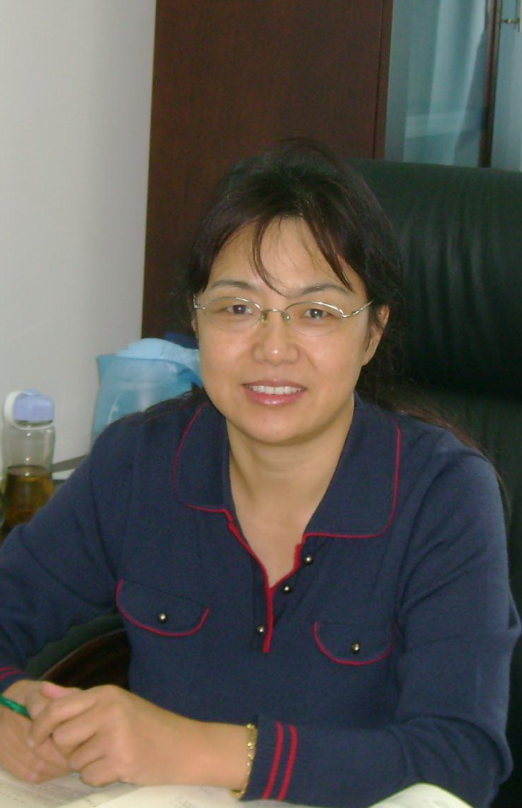 Experimental study on feasibility of gas-injection miscible flooding ...