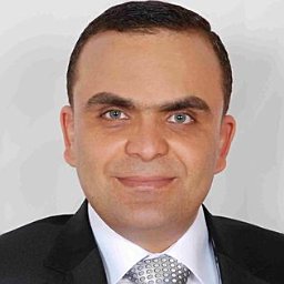 The dynamics and behavior of logarithmic type fuzzy difference equation ...