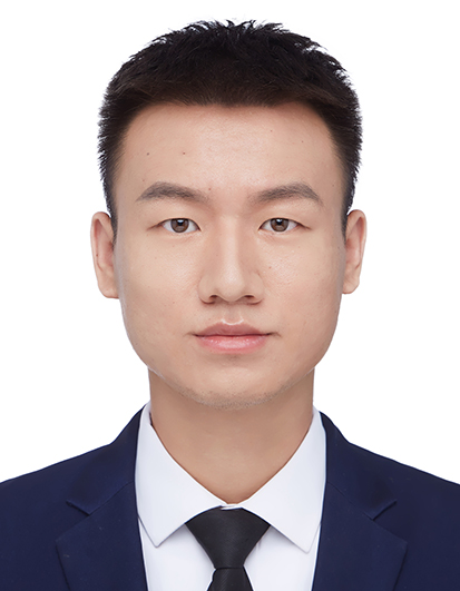 Long‐Term In Vivo Fluorescence Analyses and Imaging‐Guided Tumor ...