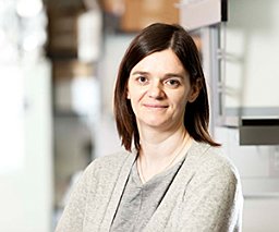 Inhibition of IRE1 RNase activity modulates the tumor cell secretome ...