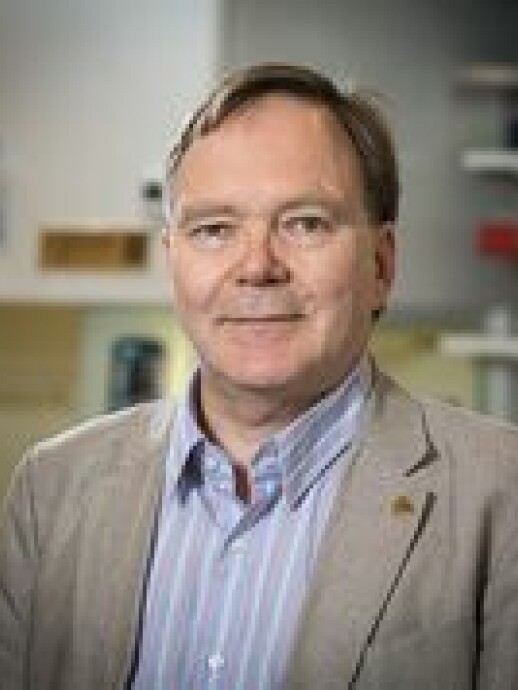 signaling-pathways-in-human-osteoclasts-differentiation-erk1-2-as-a-key ...