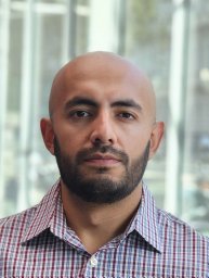 Substrate and cell fusion influence on slime mold network dynamics ...