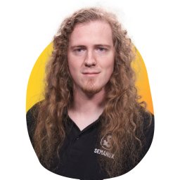 CLEARumor at SemEval-2019 Task 7: ConvoLving ELMo Against Rumors: Full ...