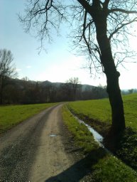 Groundwater-Surface waters interactions at slope and catchment scales ...