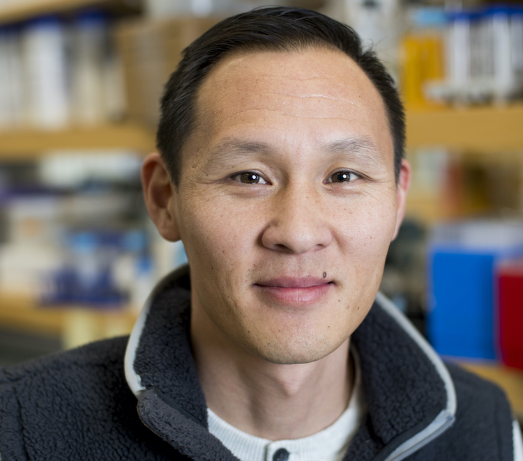 Acquisition of the arginine deiminase system benefits epiparasitic ...