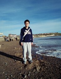 Hybrid Origin of Alpaca (Vicugna pacos) During Domestication of ...