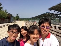 Enhanced luminescence efficiency in polymer light-emitting diodes ...