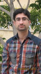 Thermosonication process of sour cherries: Microbial inactivation ...