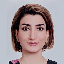 Unveiling clinical applications of bacterial extracellular vesicles as ...