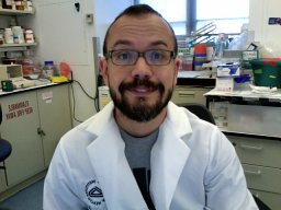 Schlafen 11 (SLFN11) kills cancer cells undergoing unscheduled re ...