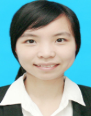 Experimental study and numerical simulation of aqueous mineral ...