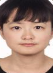 Ionic substitution effects on the structure-property relationship of ...