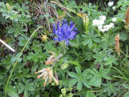 A combined rotating disk electrode–surface x-ray diffraction setup for ...