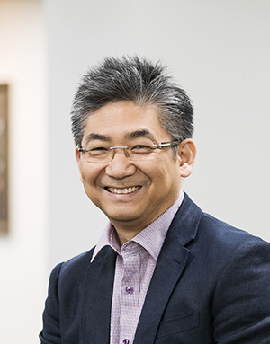 An extended analytic model for the elastic properties of platelet ...